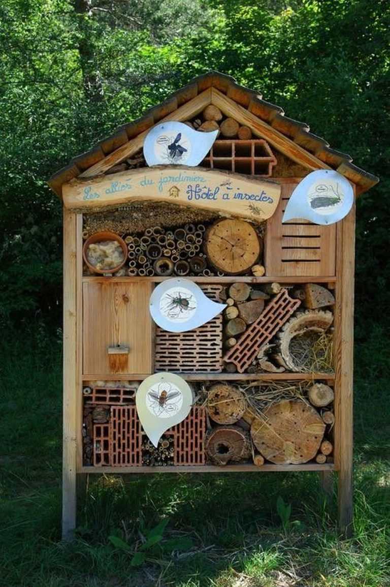 Affordable Bug Hotel: Improve Your Garden in 10 Steps – The garden!