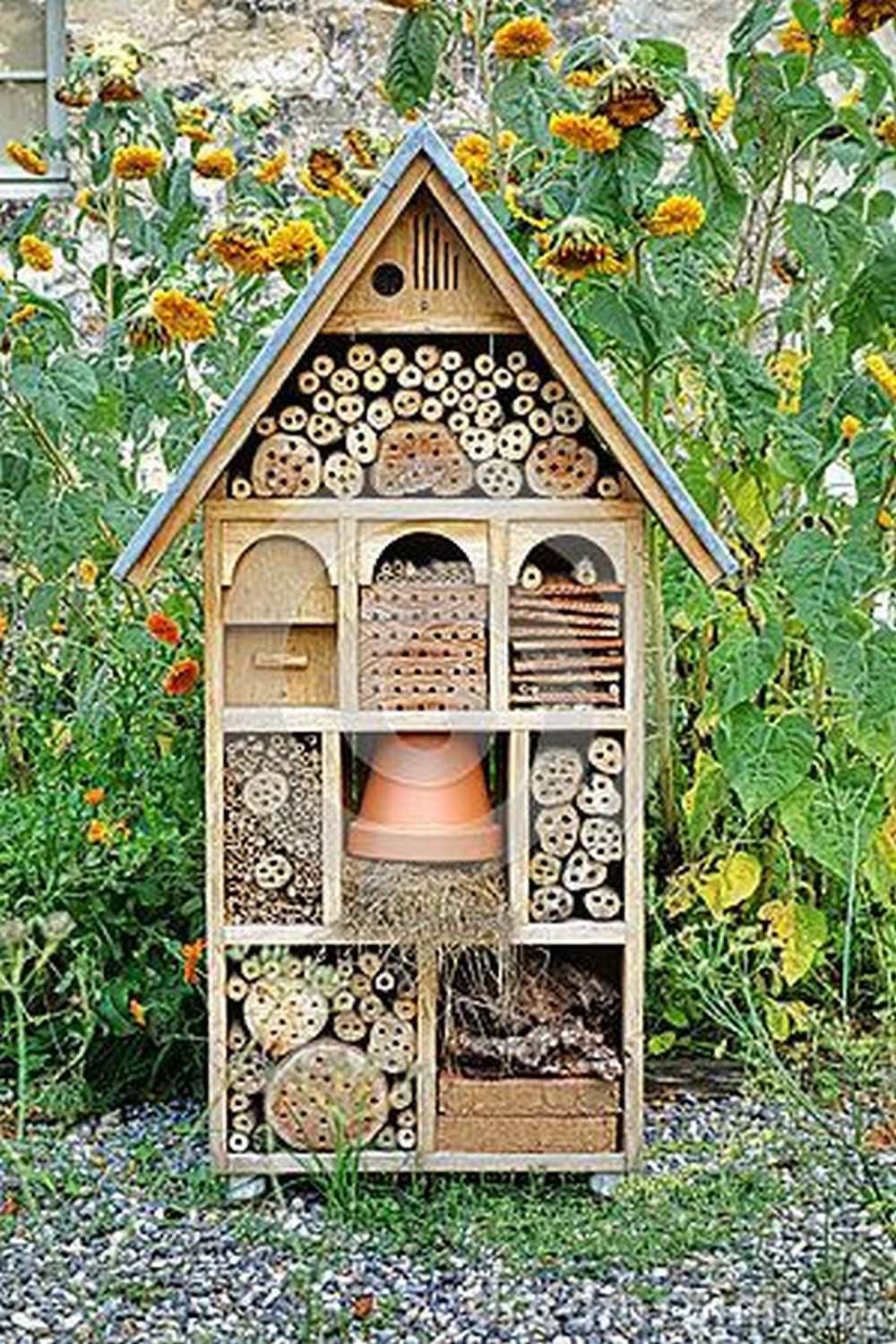 Affordable Bug Hotel: Improve Your Garden in 10 Steps – The garden!