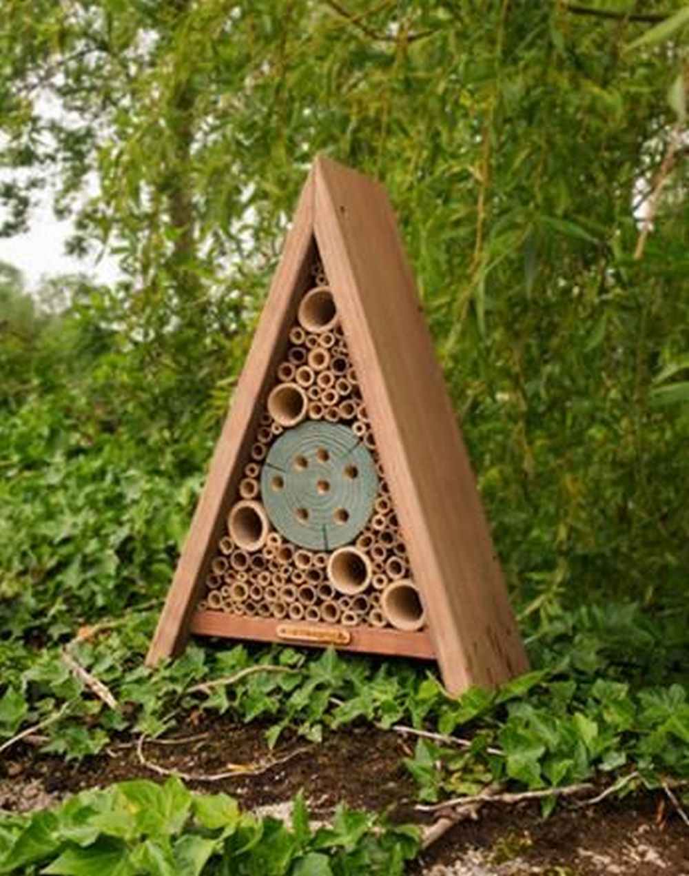 Affordable Bug Hotel: Improve Your Garden in 10 Steps – The garden!