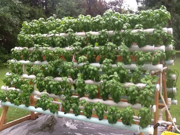A-Frame-Hydroponic-System-12 – Your Projects@OBN
