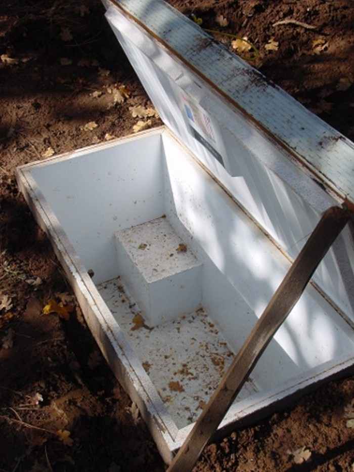 Money Saving Root Cellar Refrigerator in 7 Effortless Steps – Your ...