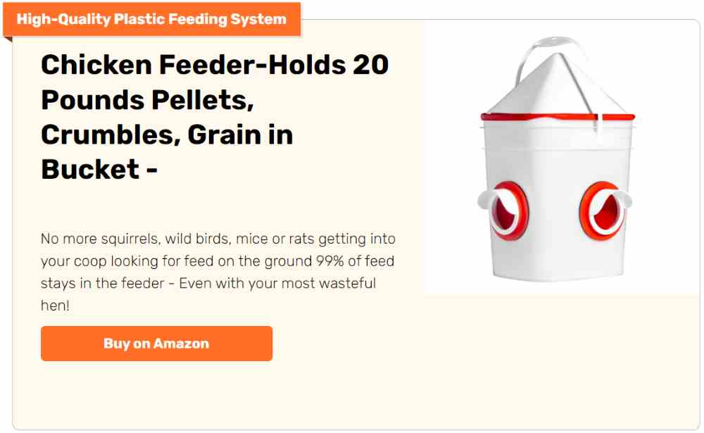 The Best Chicken Feeder: 10 Excellent Feeders for Your Flock – Your ...