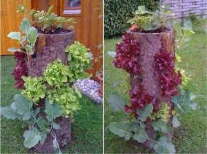 5 Unique Upcycled Tree Stump Ideas: Sustainable Decorations