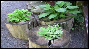 5 Unique Upcycled Tree Stump Ideas: Sustainable Decorations