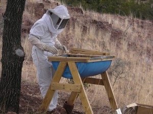 Upcycling Plastic Barrels - 9 Innovative Ideas - The Owner-Builder Network