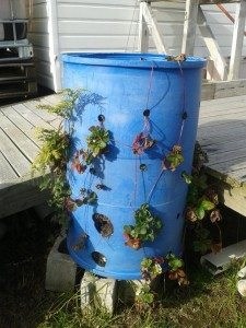 Upcycling Plastic Barrels - 9 Innovative Ideas - The Owner-Builder Network
