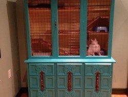 Rabbit hutch ideas made from repurposed furniture – The Owner-Builder ...