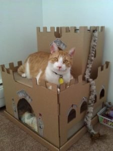 Build a Cat Castle to Keep Your Pets Busy: 7 Easy Steps