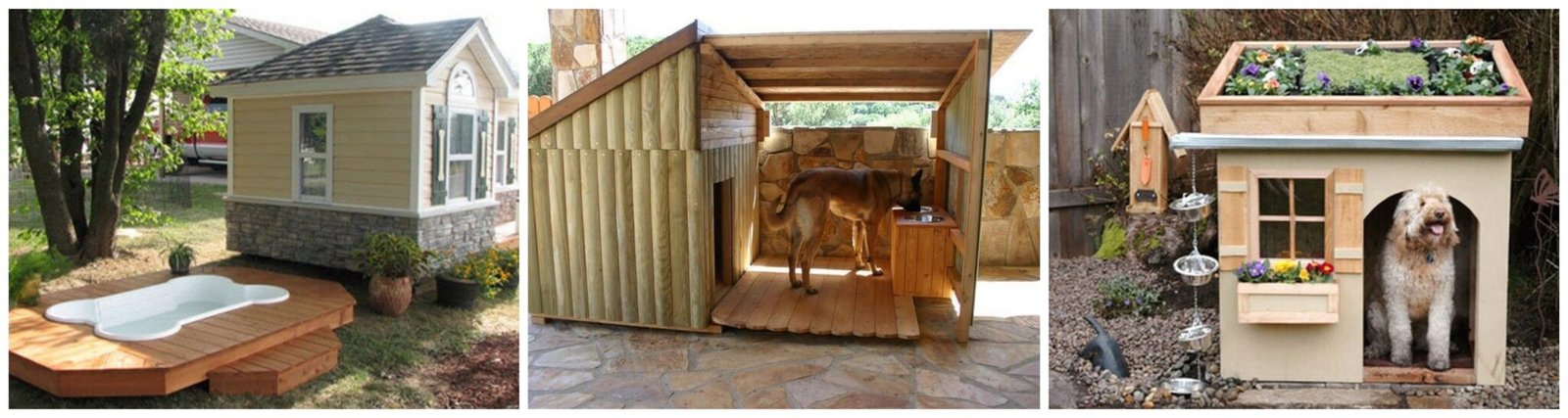 Pet Accommodation - Best Way to Treat Your Pets - The Owner-Builder Network