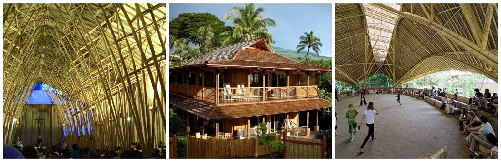 Bamboo in Construction - The Owner-Builder Network