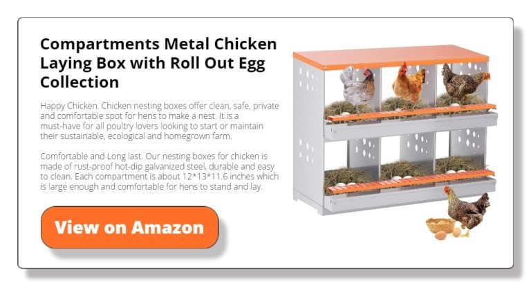 How to Keep Chickens Warm in Winter: 9 Budget Strategies