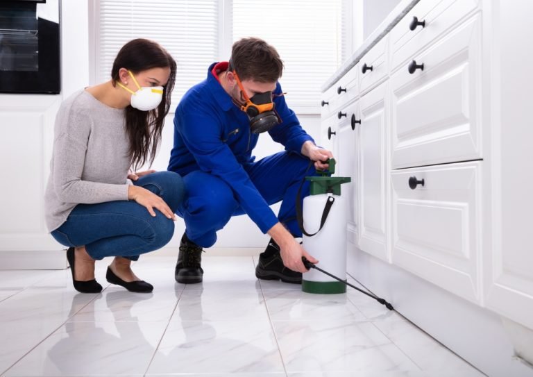 Effective 2024 Pest Control Strategies for a Pest-Free Home